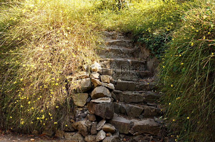 春天：步道在庭院里高清摄影大图-千库网