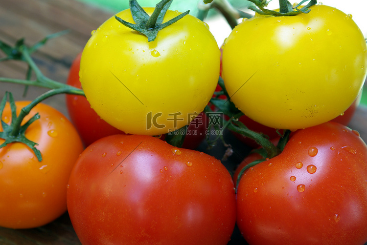 红色、橙色和黄色传家宝番茄高清摄影大图-千库网