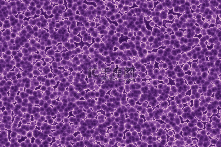 显微镜下的细菌和杆菌 Bacteria micro-organisms高清摄影大图-千库网