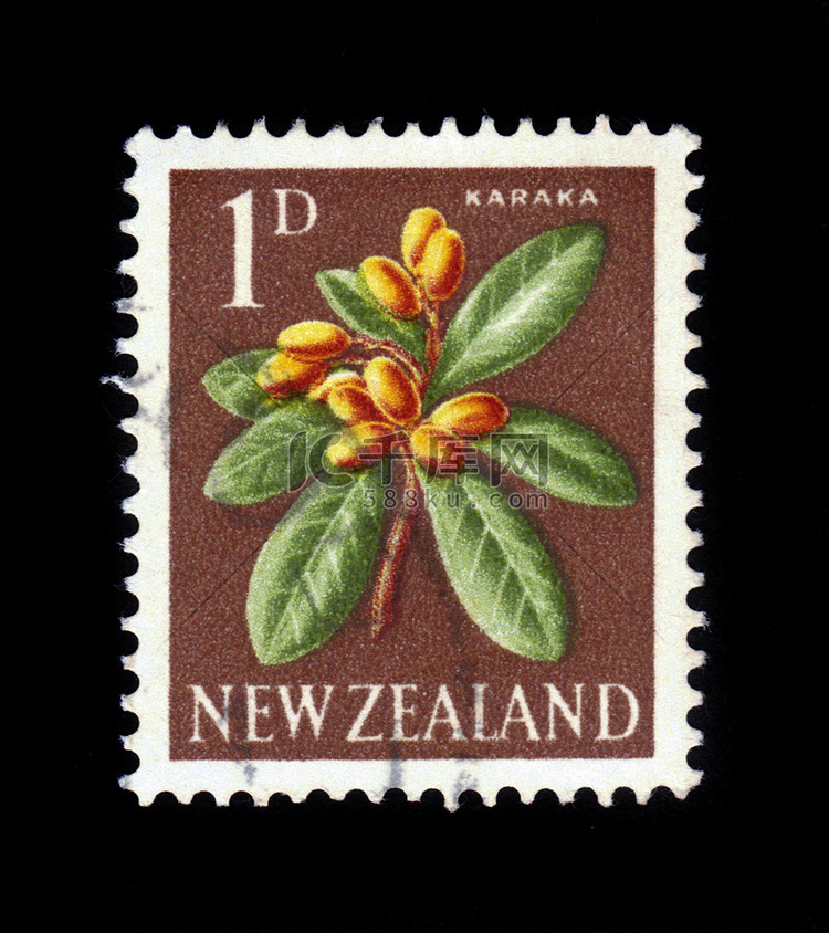 花 karaka - Corynocarpus laevigatus高清摄影大图-千库网