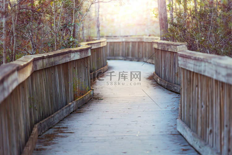 大沼泽地的木板路高清摄影大图-千库网