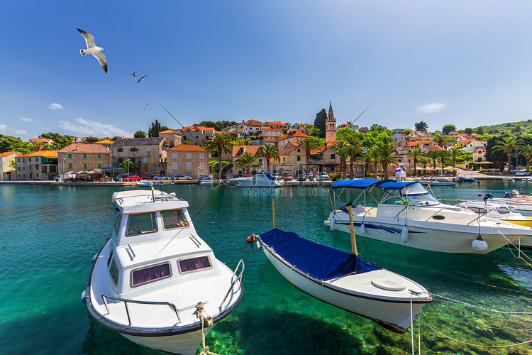 Splitska 村有美丽的港口和海鸥在克罗地亚布拉奇岛的村庄上空飞翔。高清摄影大图-千库网