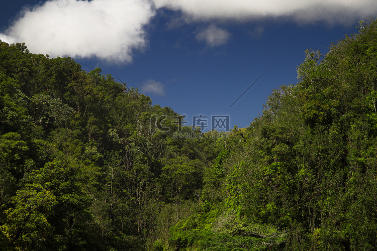丛林到天空高清摄影大图-千库网
