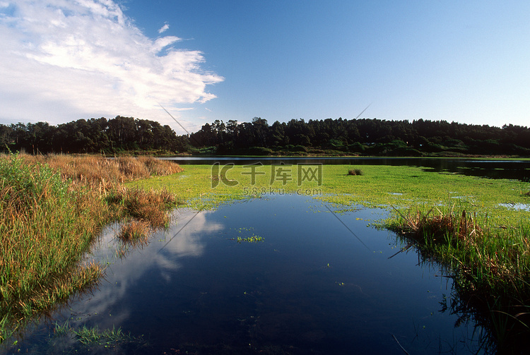 加利福尼亚州门多西诺县 Cleone 湖高清摄影大图-千库网