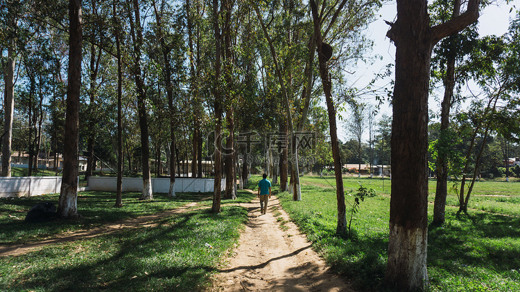 在绿色公园散步和放松的人高清摄影大图-千库网