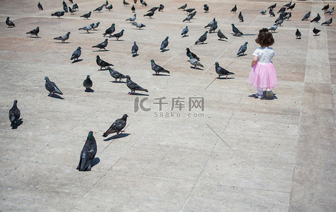 街上饥饿的鸽群中的小女孩高清摄影大图-千库网