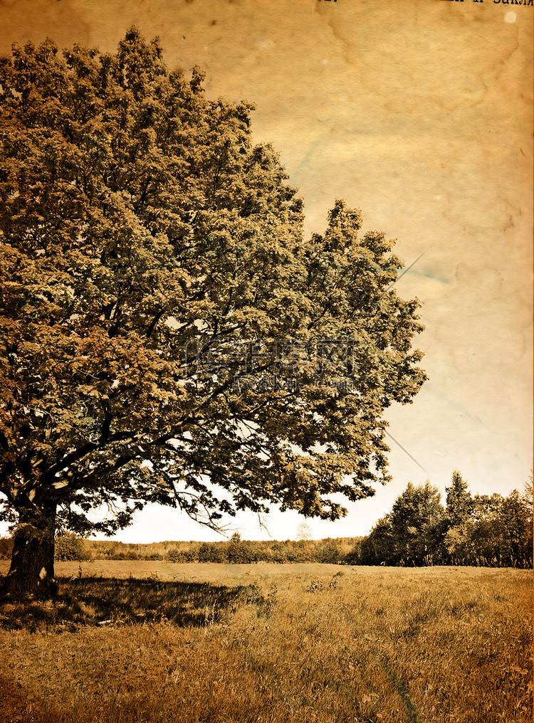 垃圾背景高清摄影大图-千库网