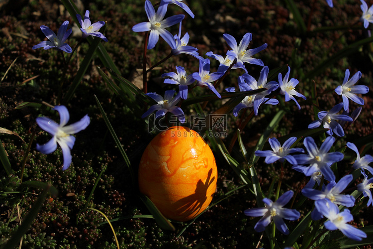复活节装饰与复活节彩蛋和雪的荣耀高清摄影大图-千库网