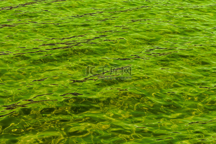 波浪水的绿色抽象背景高清摄影大图-千库网