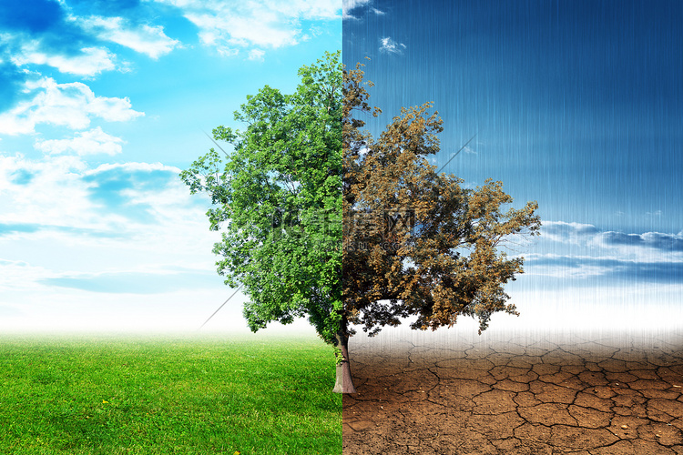 两侧树高清摄影大图-千库网