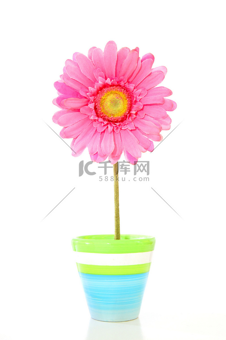 五颜六色的春天的花朵高清摄影大图-千库网