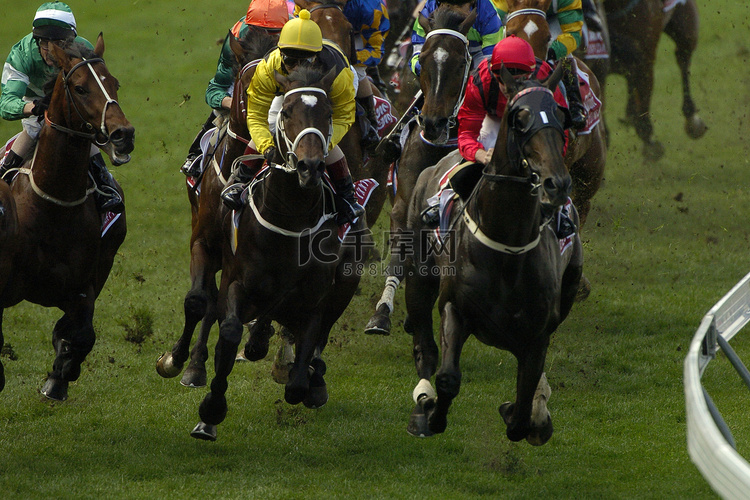 赛马024高清摄影大图-千库网