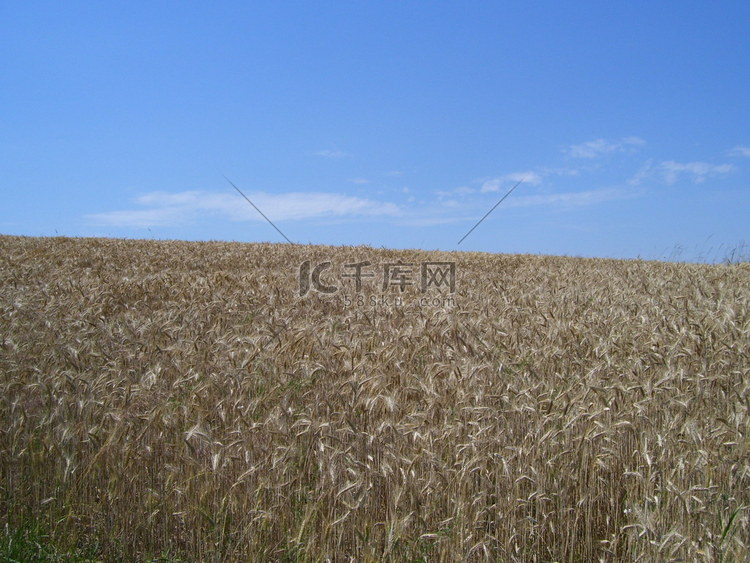 波兰语领域高清摄影大图-千库网