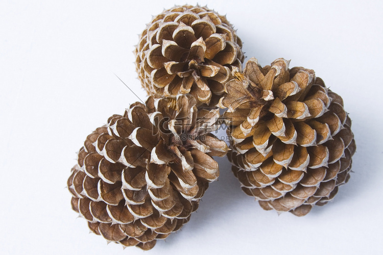 松果挤成一团高清摄影大图-千库网