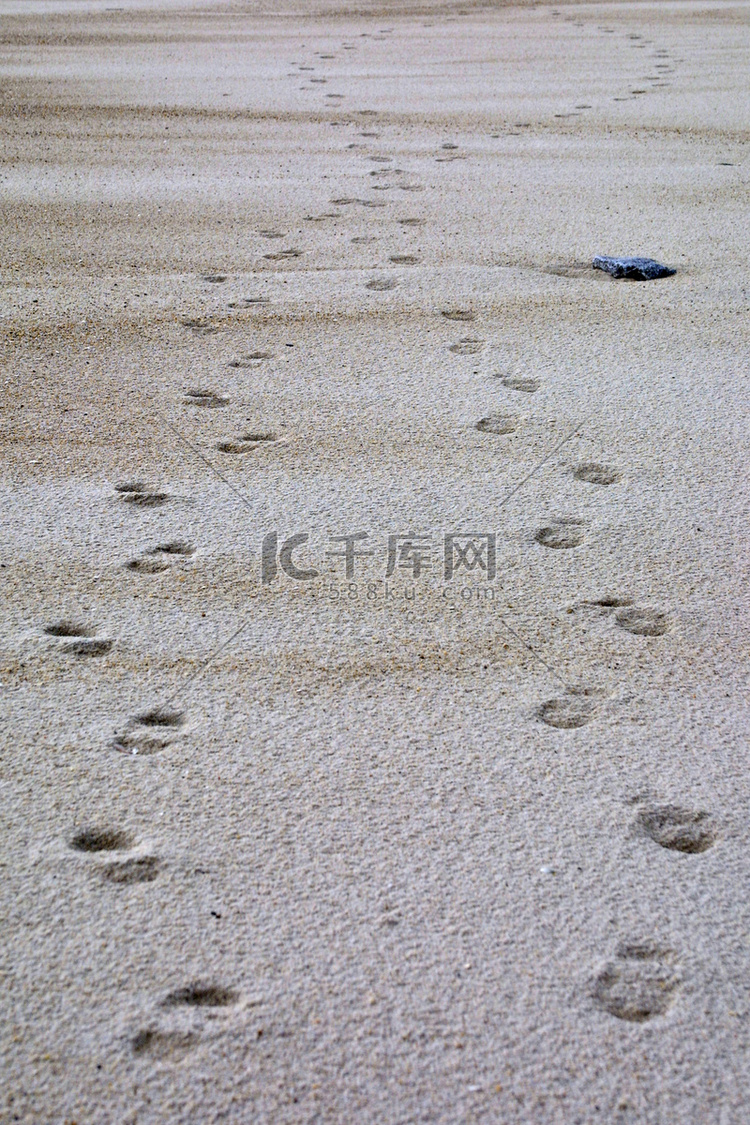 沙子里的脚步声高清摄影大图-千库网