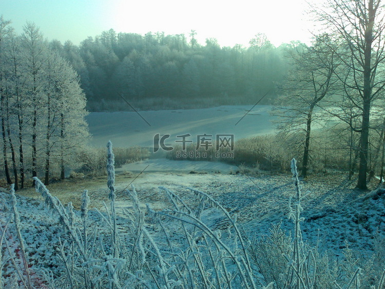 芦苇丛生高清摄影大图-千库网