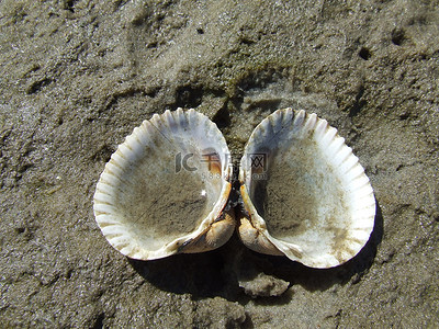 壳高清摄影大图-千库网