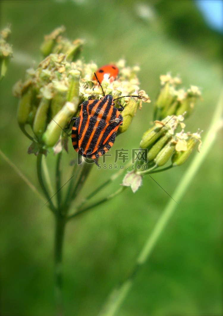 警告高清摄影大图-千库网