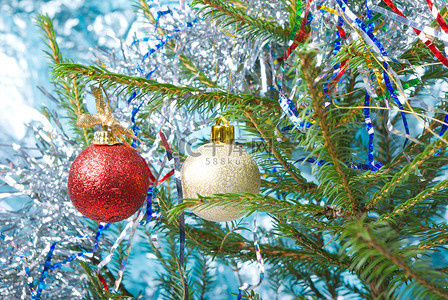 青松的枝条，高清摄影大图-千库网