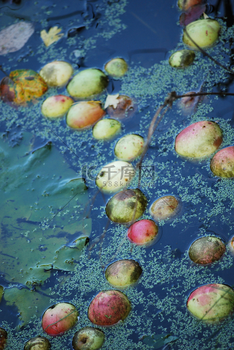 水中的苹果高清摄影大图-千库网