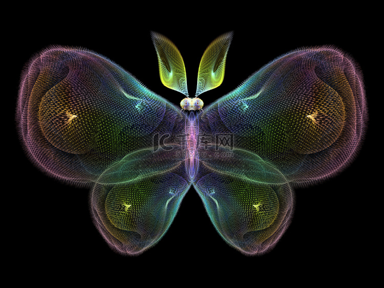 蝴蝶元素高清摄影大图-千库网