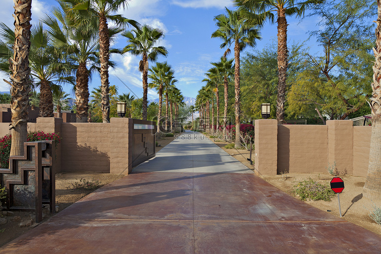 空荡荡的私家路两旁种着棕榈树。高清摄影大图-千库网