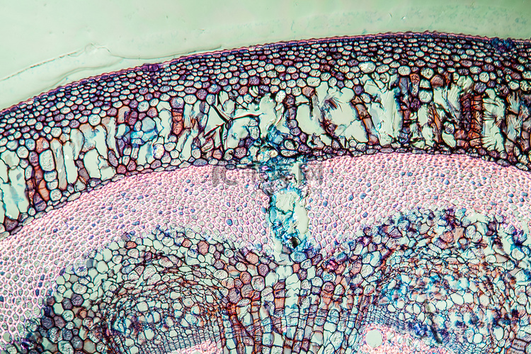 带主干 100x 的管衬套高清摄影大图-千库网