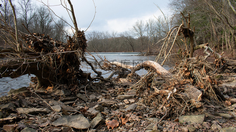 河边一棵倒下的树，背景是大坝高清摄影大图-千库网