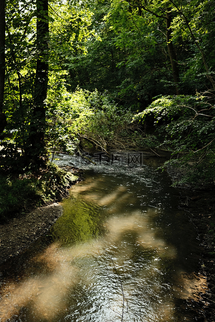 德国梅特曼镇附近尼安德河谷的河流，垂直拍摄高清摄影大图-千库网