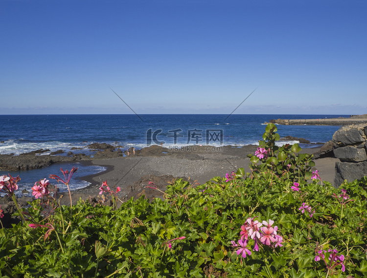 特内里费岛拉克鲁斯港的 Playa Jardin 海滩享有蓝色海平面、岩石、沙子以及蓝天背景的粉色和绿色花朵高清摄影大图-千库网