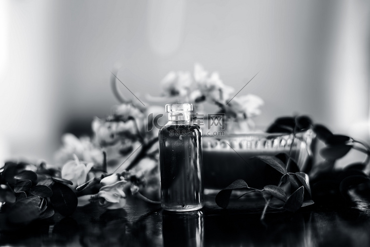 草药和花卉精华或浓缩物，由辣木 Nimmo 制成，也被称为 Kadvo Saragvo，Konkan Moringa，装在玻璃瓶中，放在木质 ...