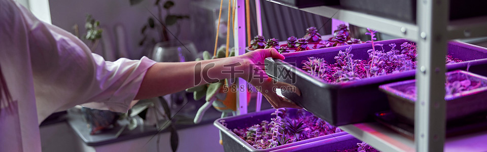 有不同种类的干花的花店高清摄影大图-千库网