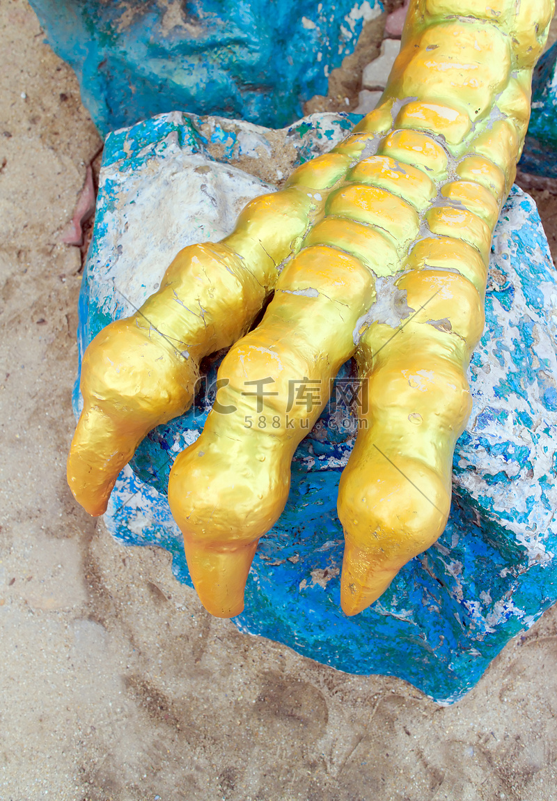 龙爪高清摄影大图-千库网