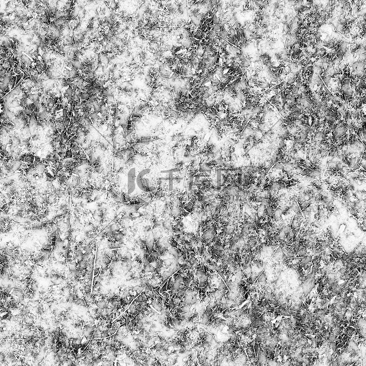 强显微镜下的细菌和各种微生物高清摄影大图-千库网