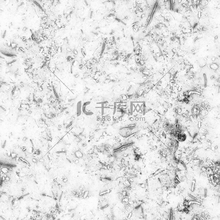 强显微镜下引起人类疾病的微生物和各种细菌高清摄影大图-千库网