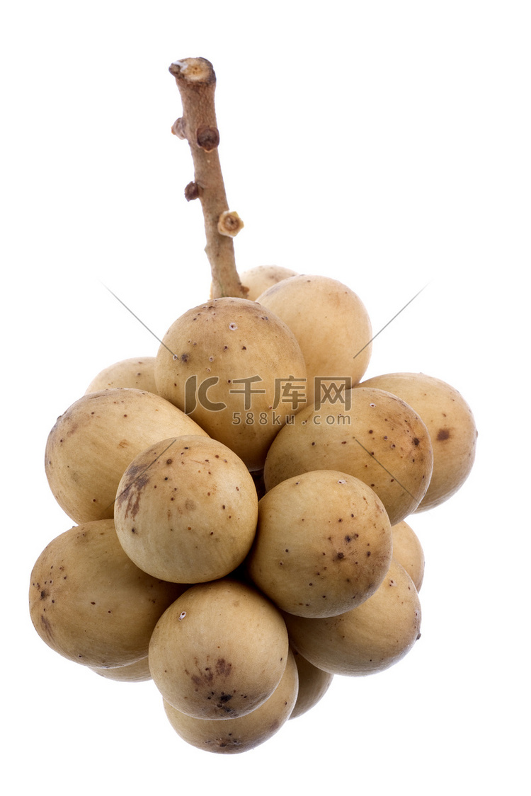 孤立的 Langsat 水果高清摄影大图-千库网