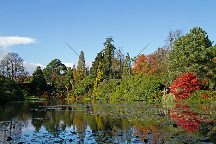 谢菲尔德公园高清摄影大图-千库网