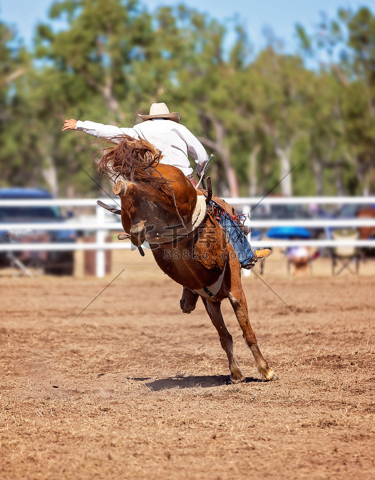 牛仔骑着 Bucking Rodeo 马高清摄影大图-千库网