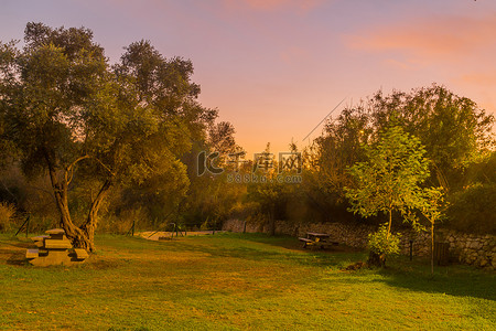 野餐区的日落景色，En Hemed 国家公园高清摄影大图-千库网