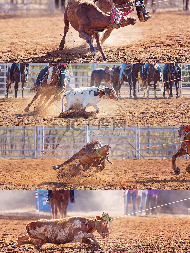 Team Calf Roping Rodeo 拼贴画高清摄影大图-千库网
