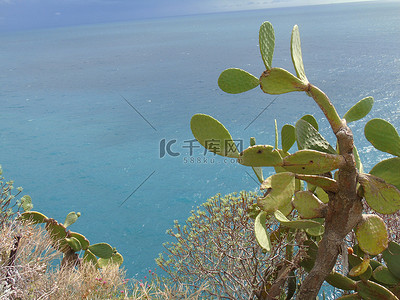 夏季的意大利五渔村高清摄影大图-千库网