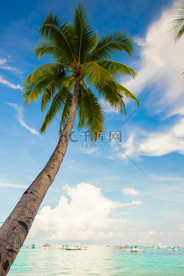 在沙滩背景蓝天的可可椰子树高清摄影大图 千库网