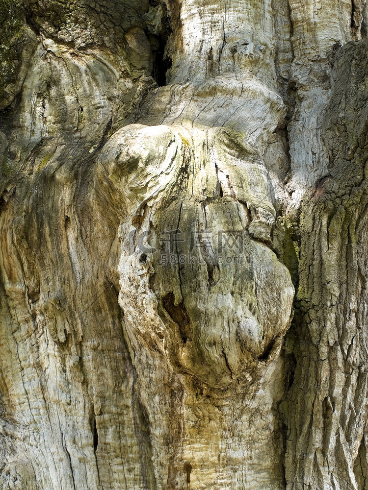 旧木箱高清摄影大图-千库网