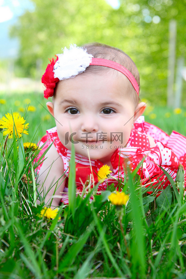 花宝宝高清摄影大图-千库网