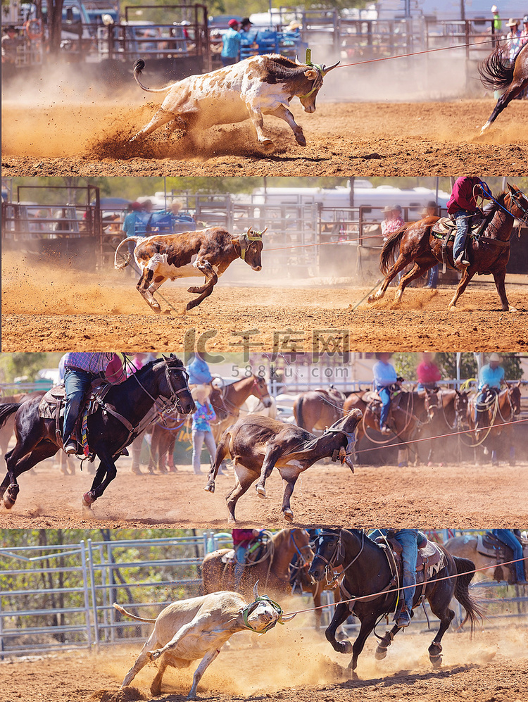 Team Calf Roping Rodeo 拼贴画高清摄影大图-千库网