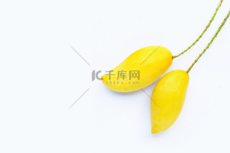 热带水果，白色背景上的芒果。高清摄影大图-千库网