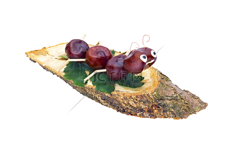 hack ant Chestnut 和火柴高清摄影大图-千库网