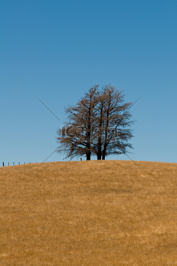 veldt 山上的树木形成高清摄影大图-千库网