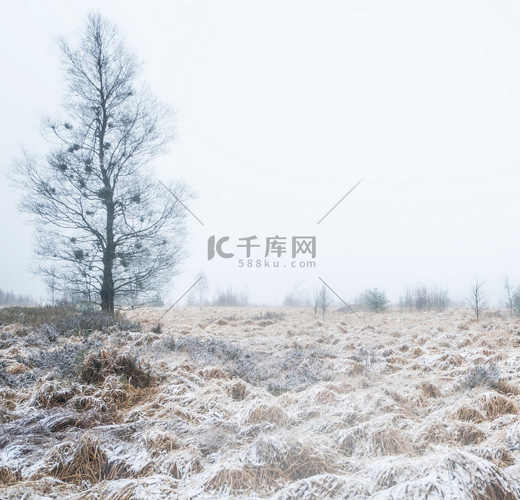 海芬斯，比利时图片高清摄影大图-千库网