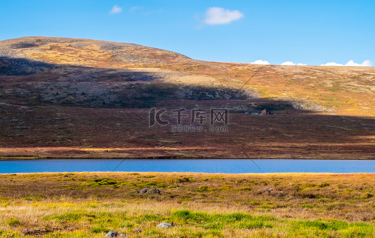 阿尔泰共和国的野生动物高清摄影大图-千库网